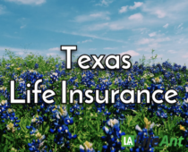 Texas Life Insurance - Best Life Insurance Companies in Texas
