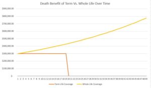 Level Term Life Insurance Explained - Life Ant