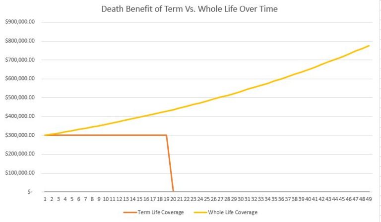 Level Term Life Insurance Explained - Life Ant