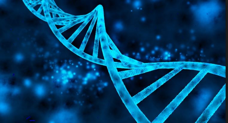 Life Insurance & Genetic Testing: Does it Affect Rates - Life Ant