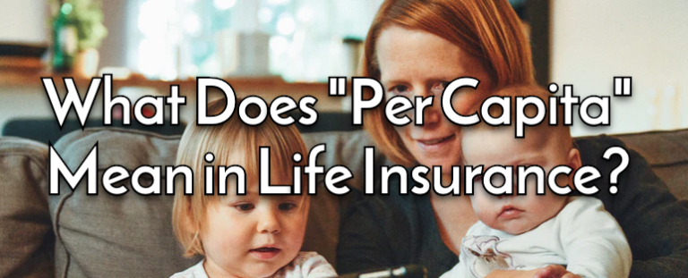 What Does Per Capita Mean in Life Insurance? - Per Capita Explained