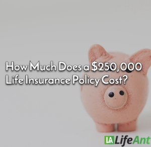 How Much Does a $250,000 Life Insurance Policy Cost? - Life Ant